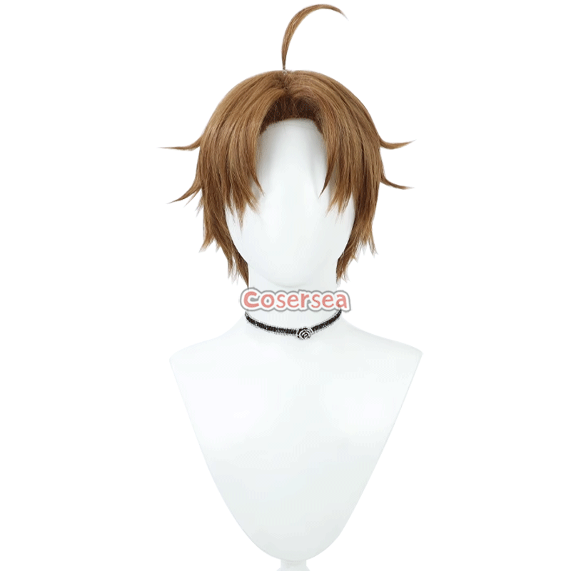 Mushoku Tensei Rudeus Greyrat Cosplay Wigs – coserseas